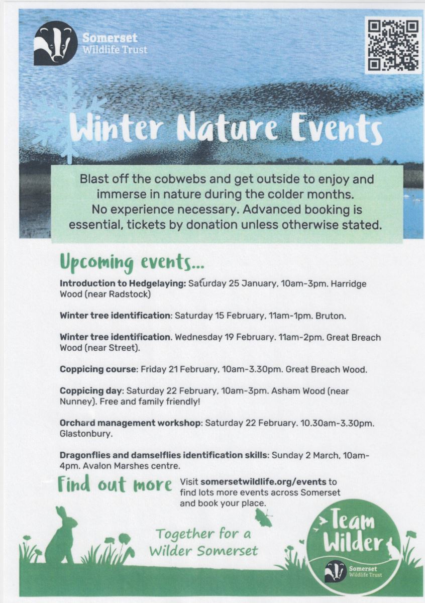 What's On | Wells Tourism